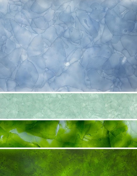 bio glass color designs | Dornob
